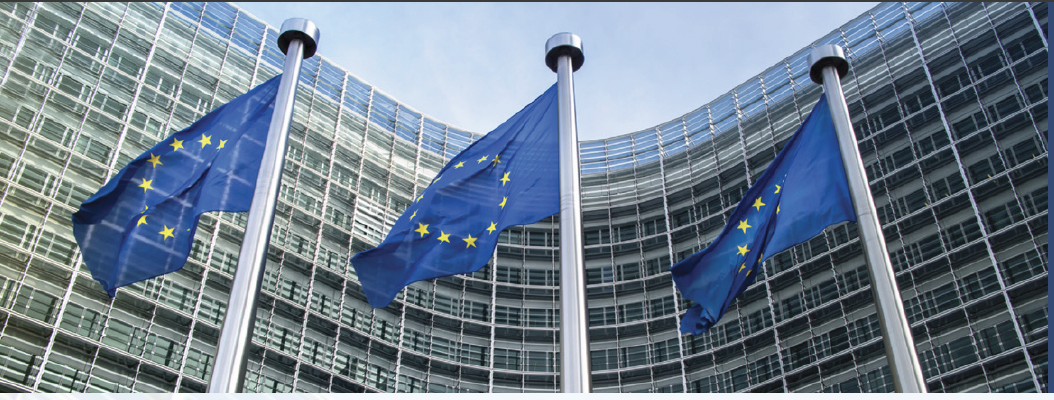 EU Agencies before the Court of Justice, 2nd & 3rd June – REALaw.blog